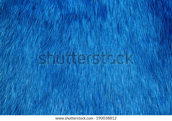 51,734 Blue Fur Texture Images, Stock Photos & Vectors | Shutterstock