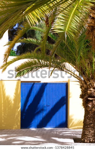 Blue Gate Large Palm Tree Beautiful Stock Photo 1378428845 | Shutterstock
