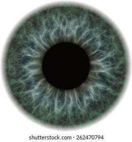 Blue Iris Texture写真素材262470794 | Shutterstock