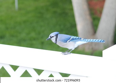 Stock Photo and Image Portfolio by Skye Watts | Shutterstock