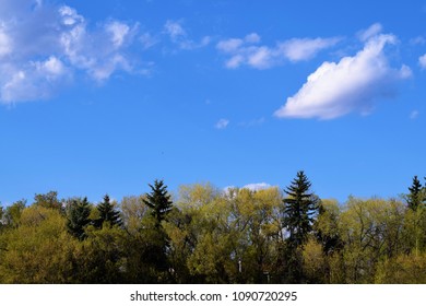 Blue Sky Cloud Patterns Stock Photo 1090720295 | Shutterstock