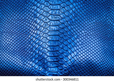 Blue Snake Skin Pattern Texture Background Stock Photo 300346811 ...