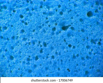 Blue Sponge Texture Macro Stock Photo 17006749 | Shutterstock