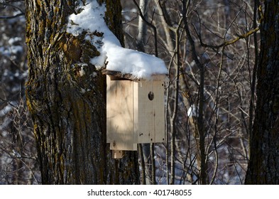 Bluebird Tree Swallow Nesting Box Stock Photo 401748055 | Shutterstock