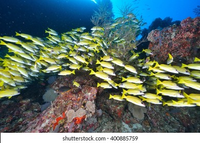 1,560 Ocean drop off Images, Stock Photos & Vectors | Shutterstock