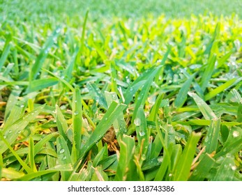 702 Drew drop Images, Stock Photos & Vectors | Shutterstock