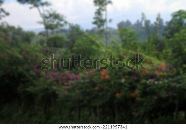 Blurred Background Scenery Path Waterfall Stock Photo 2211957341 ...