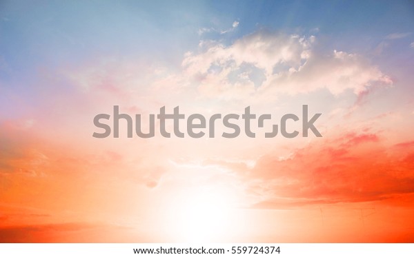 Blurred Background Sunlight Stock Photo 559724374 | Shutterstock