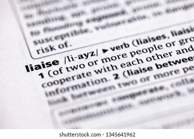 Close Dictionary Definition Preservation Stock Photo (Edit Now) 1197535006