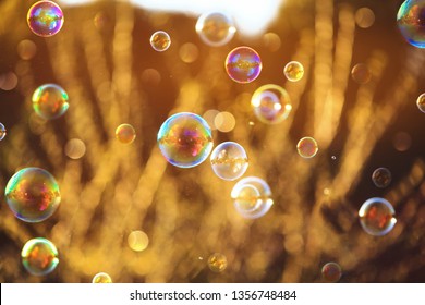 Summer bubble Images, Stock Photos & Vectors | Shutterstock