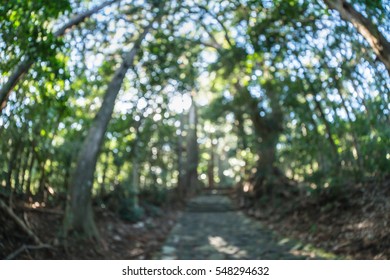 Blurred Path Through Forest Background Stock Photo 548294632 | Shutterstock