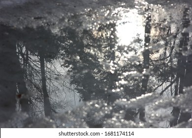 177 Fuzzy Snowy Day Images, Stock Photos & Vectors | Shutterstock