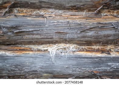 50 Elf Detective Images, Stock Photos & Vectors | Shutterstock