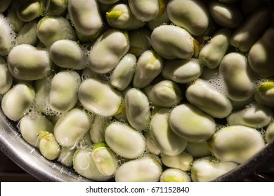 66,910 Water bean Images, Stock Photos & Vectors | Shutterstock