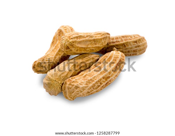 Boiled Peanut Boiled Nut Isolate White Stock Photo 1258287799 ...
