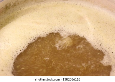 1,625 Beer wort Stock Photos, Images & Photography | Shutterstock