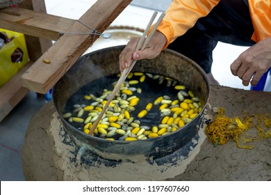 Boiling Cocoons Separate Silk Threads Thread Stock Photo 1197607645 ...