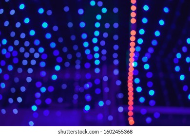 1,562 Led String Lights For Decorative Outdoor Images, Stock Photos ...