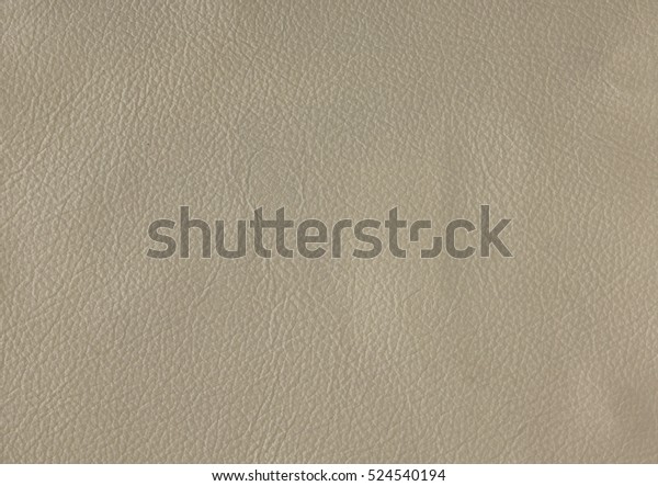 Bone Leather Texture Background High Resolution Stock Photo 524540194 ...