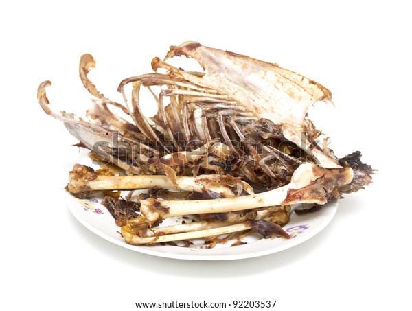 Bone Skeleton Goose Stock Photo 92203537 | Shutterstock