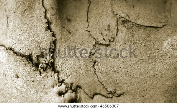 Bone Skull Texture Stock Photo 46506307 | Shutterstock