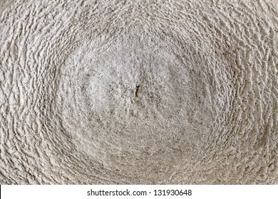 88,135 Bones texture Images, Stock Photos & Vectors | Shutterstock