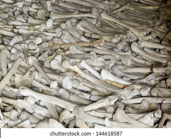 Bones Background Stock Photo 144618587 | Shutterstock