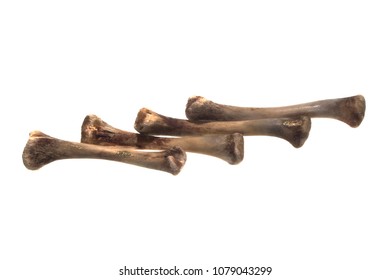 Bones Isolated On White Background Stock Photo 1079043299 | Shutterstock