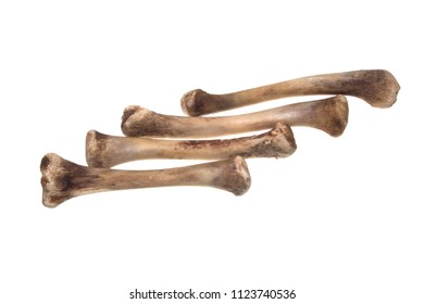 Bones Isolated On White Background Stock Photo 1118273762 | Shutterstock