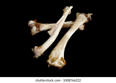 Bones On Black Background Stock Photo 1008766186 | Shutterstock