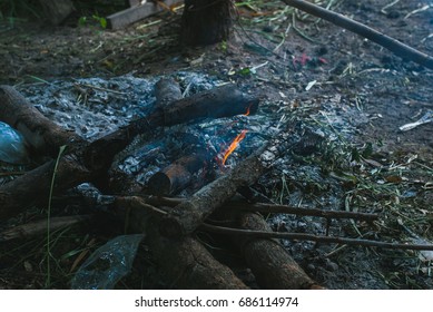 Minimalist Koi Fish Pond Rectangular Shaped Stock Photo 1659593194 ...