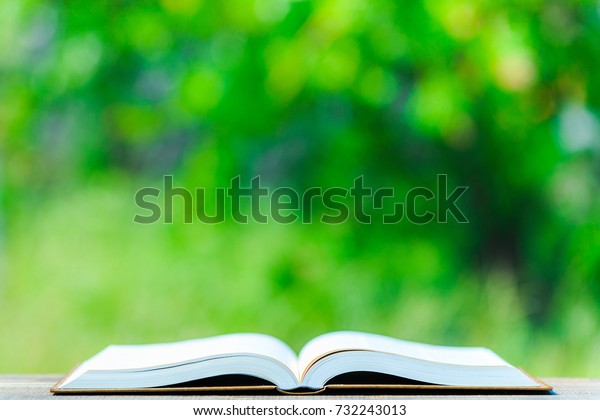 Book Green Blur Background Stock Photo (Edit Now) 732243013 Book Green Blur Background Stock Photo (Edit Now) 732243013