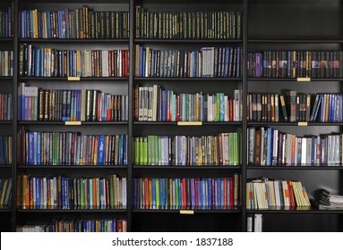 Grand Library Book Shelf Horizontal Vertical Stock Vector (Royalty Free ...