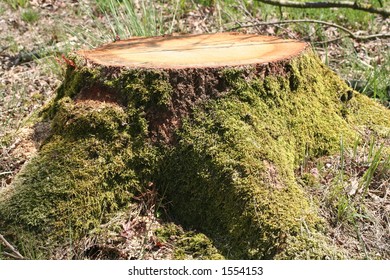 14 Boom Zon Images, Stock Photos & Vectors | Shutterstock