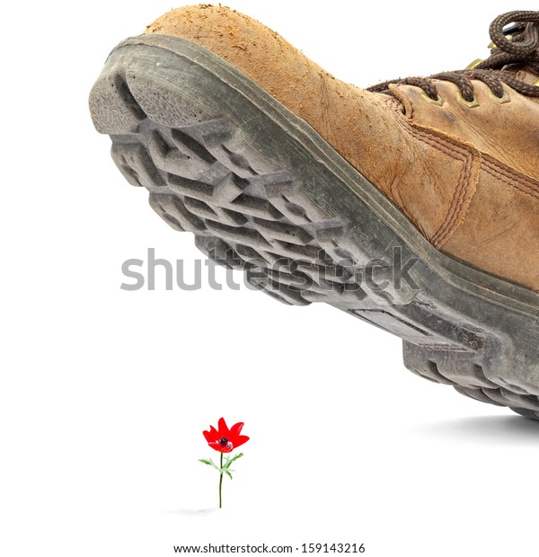 Boot Steps On Small Red Flower Stock Photo 159143216 | Shutterstock