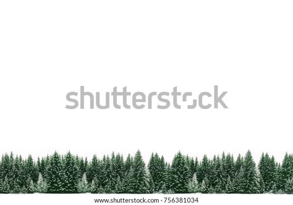 Border Frame Spruce Tree Forest Covered Stock Photo 756381034 ...