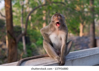Stock Photo and Image Portfolio by XMSP | Shutterstock