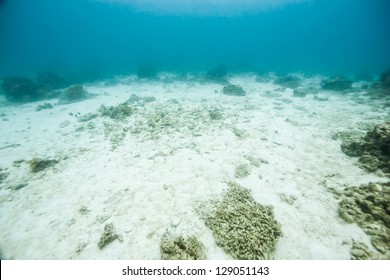 45,646 Sea bed background Images, Stock Photos & Vectors | Shutterstock