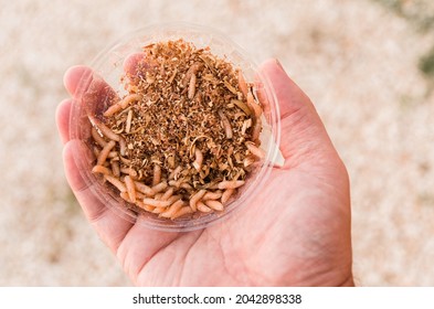 787 Maggot hand Stock Photos, Images & Photography | Shutterstock