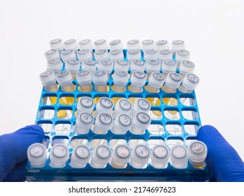Box Small Test Tubes Yellow Liquid Stock Photo 2174697623 | Shutterstock