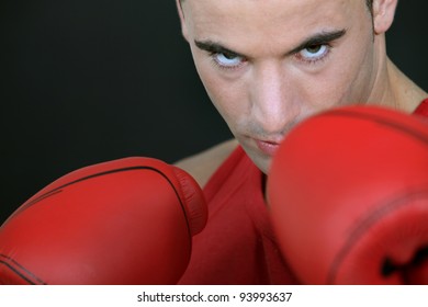 10,197 Boxer closeup Images, Stock Photos & Vectors | Shutterstock