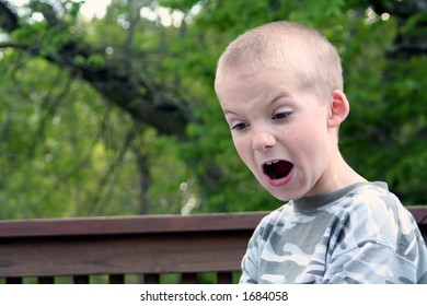 Boy Disgusted Expression Stock Photo (Edit Now) 1684058