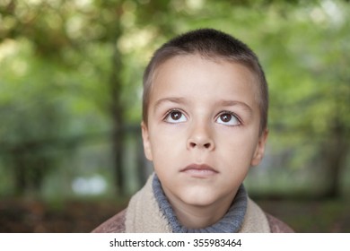 Boy Looking Stock Photo 355983464 | Shutterstock