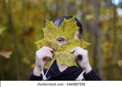 17,811 Looking Through Leaves Images, Stock Photos & Vectors | Shutterstock