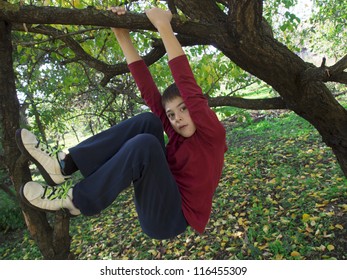 542 Kids Lost In Woods Images, Stock Photos & Vectors | Shutterstock