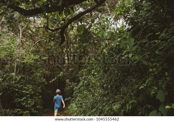 Boy Running Through Trees On Hiking Stock Photo 1045555462 | Shutterstock