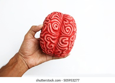 Human Brain Rubber Hammer Blow Blood 스톡 사진 253958839 | Shutterstock