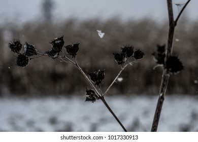 Stock Photo and Image Portfolio by Dylan Galbraith | Shutterstock