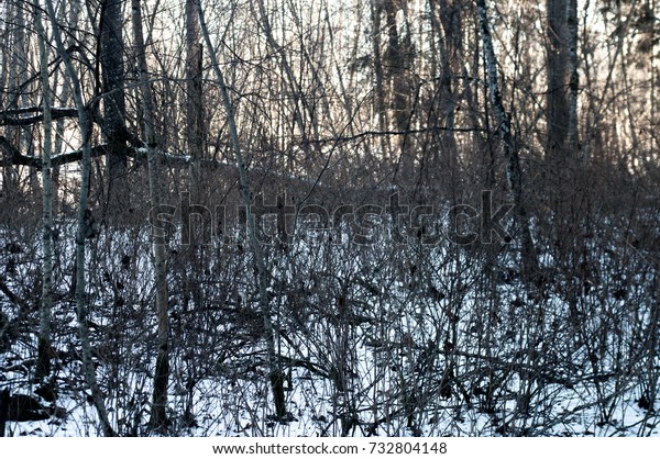 30 Mingle Mangle Bilder, Stockfotos und Vektorgrafiken | Shutterstock