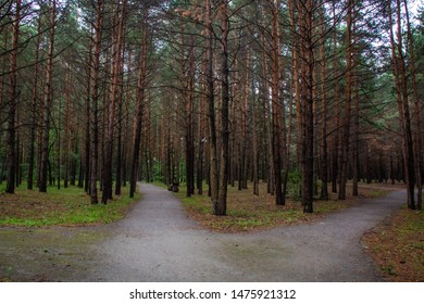 Stock Photo and Image Portfolio by Maxfand | Shutterstock